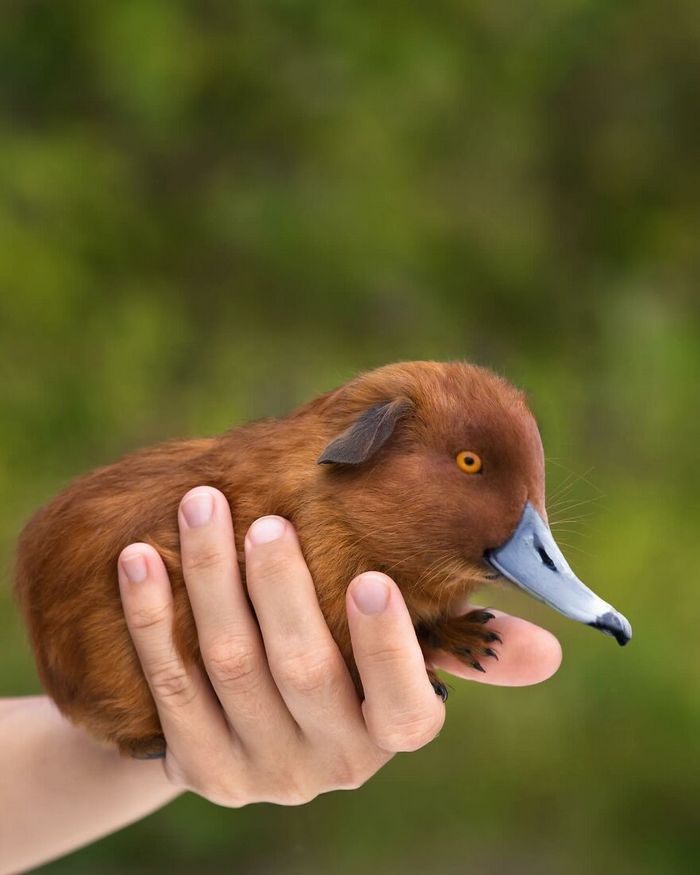 O artista por trás de Pixelmated Animals: Transformando tédio em ...