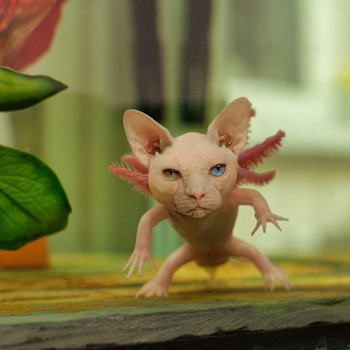 O artista por trás de Pixelmated Animals: Transformando tédio em ...