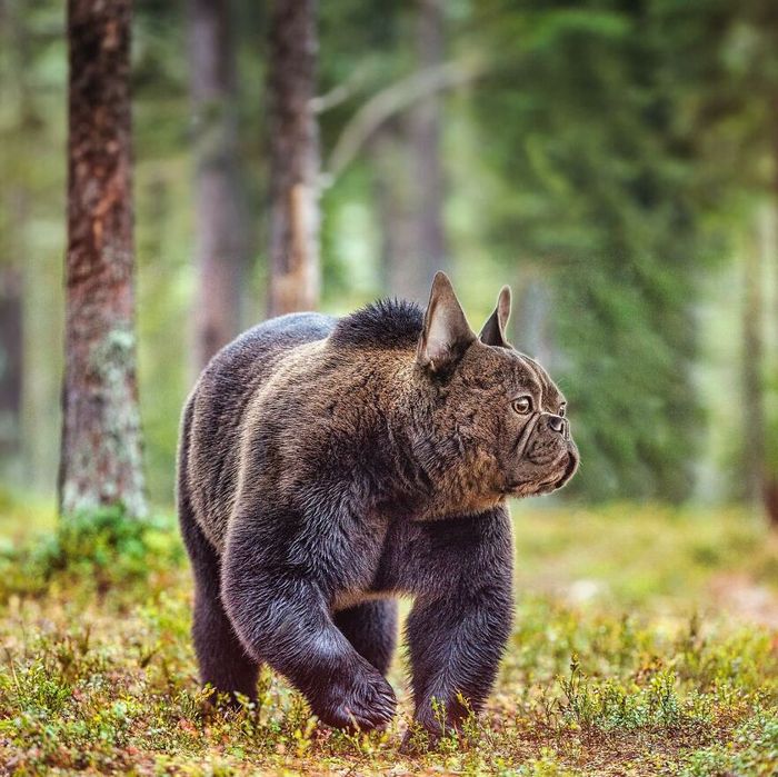 O artista por trás de Pixelmated Animals: Transformando tédio em ...