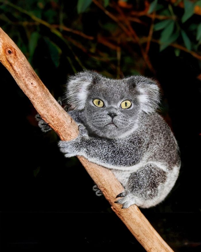 O artista por trás de Pixelmated Animals: Transformando tédio em ...