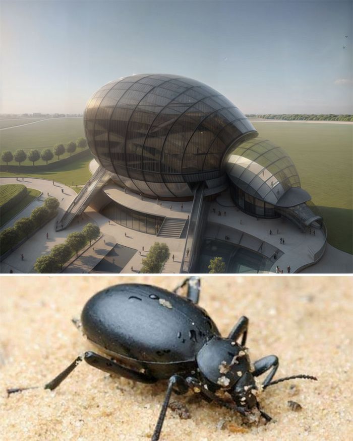 Felipe de Castro: Transformando o cotidiano em arquitetura fantástica ...