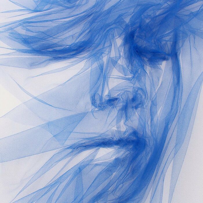 A arte inovadora de Benjamin Shine: Transformando tule em obras de arte (30 fotos) - Tediado