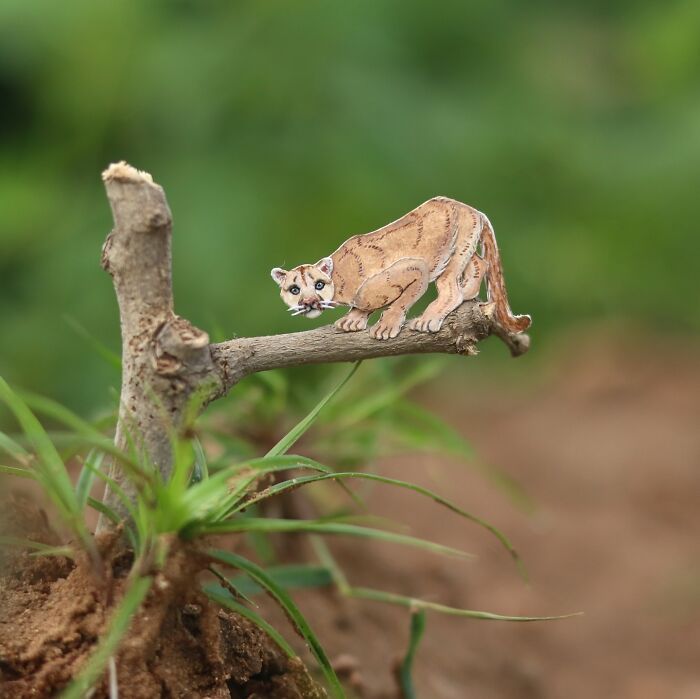 The Paper Ark: Arte em papel que celebra a fragilidade da vida selvagem ...